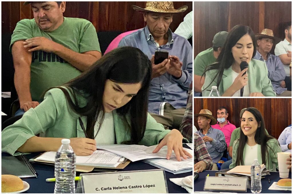 Solicita Carla Helena Castro se priorice la obra pública para mejorar ...